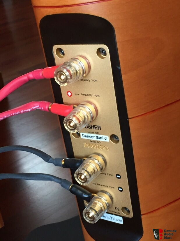 Usher Mini Dancer 2 DMD Photo #2108355 - UK Audio Mart