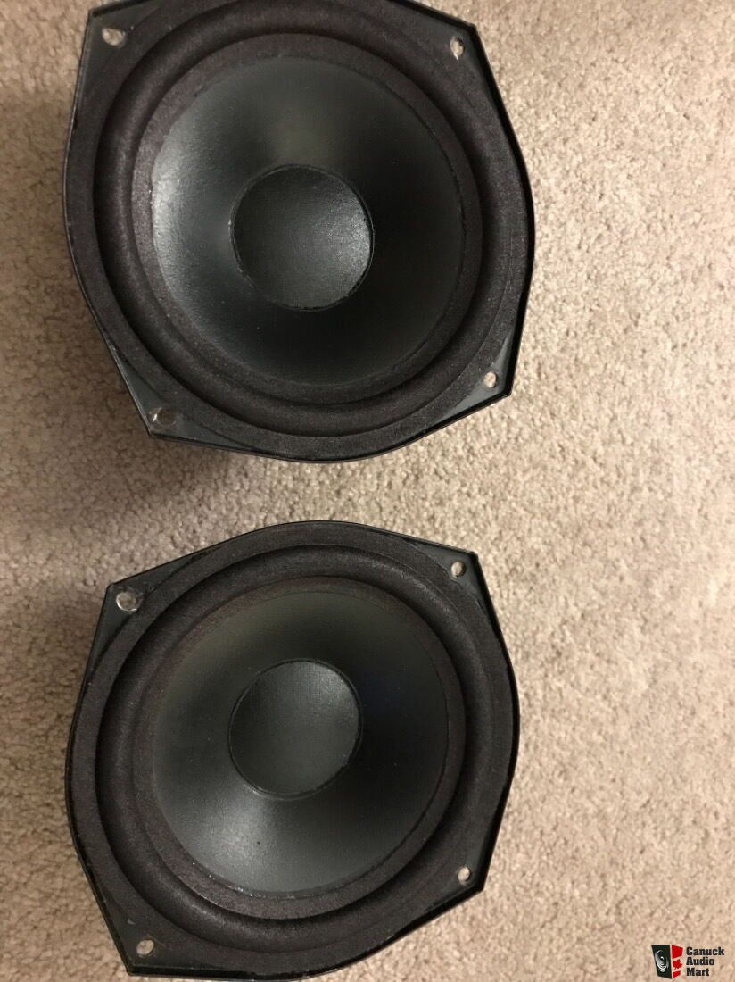 Two 5 1/4 inch Mid/bass Drivers for Totem Sttaf Photo #2108980 - UK ...