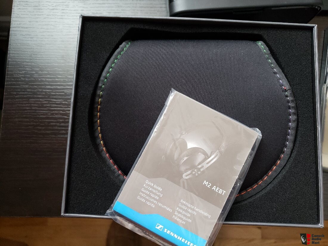 Sennheiser HD 1 Edition Pink Floyd Photo #2109203 - Canuck Audio Mart