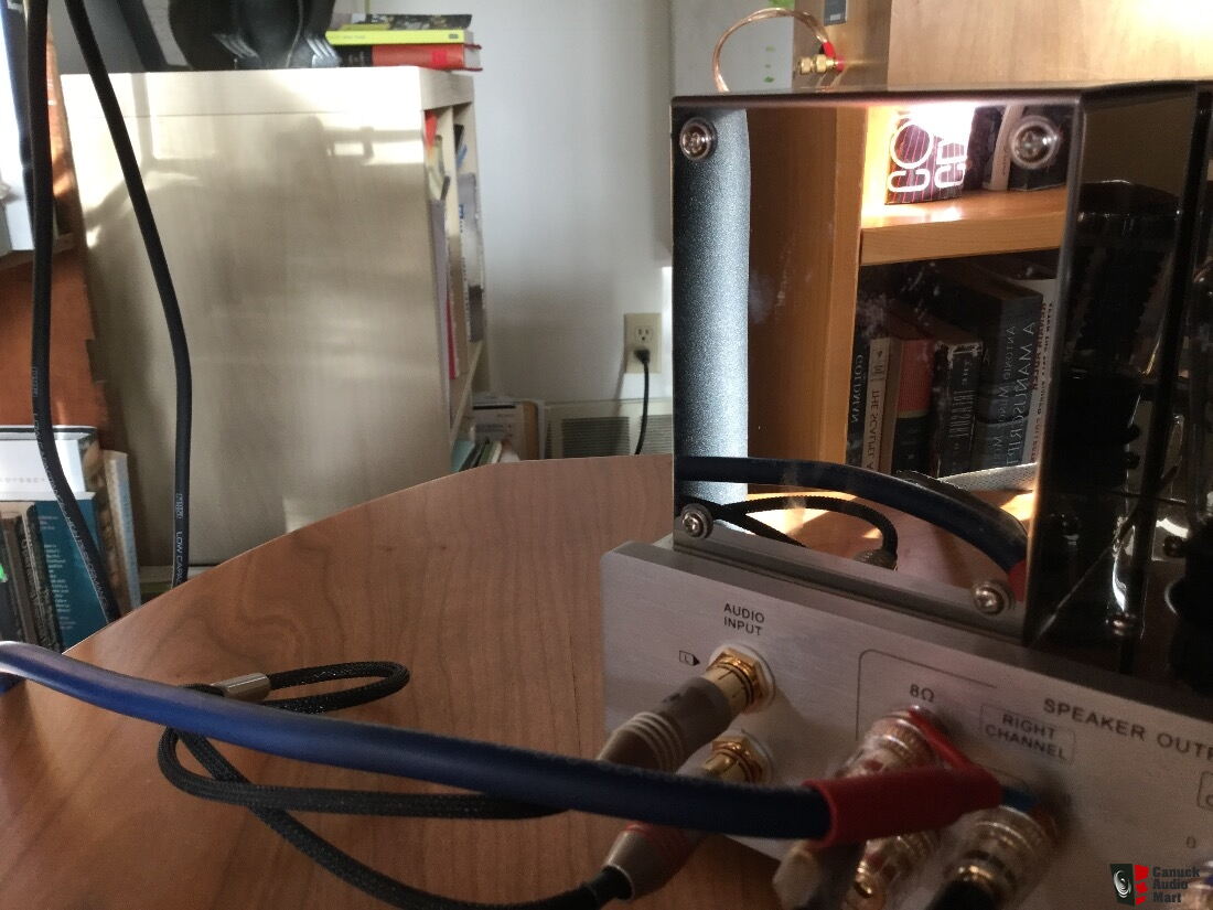 Coincident SET Dynamo Mark II integrated tube amplifier w/ upgraded ...