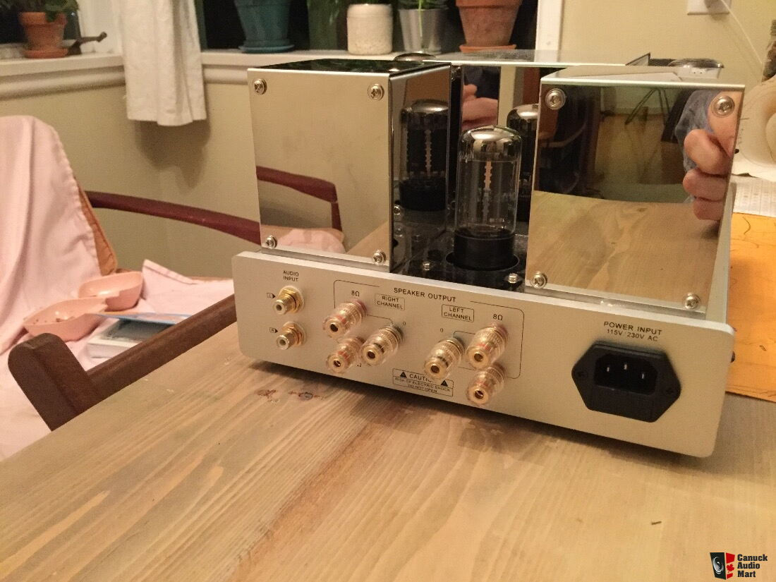 Coincident SET Dynamo Mark II integrated tube amplifier Photo #2116844 ...