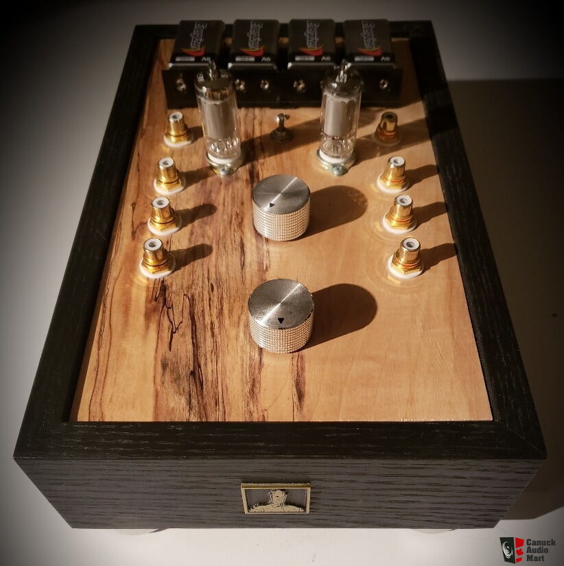 Custom 300b amplifier with Bottlehead tube preamp Photo #2118220 ...