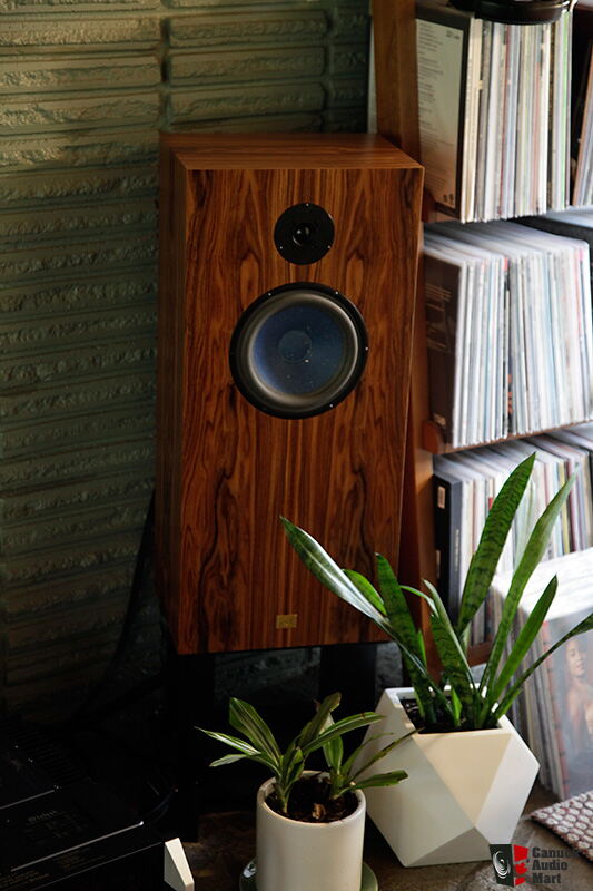 SALE PENDING: Audio Note AN-E/SPe HE loudspeakers in Palisander Photo ...