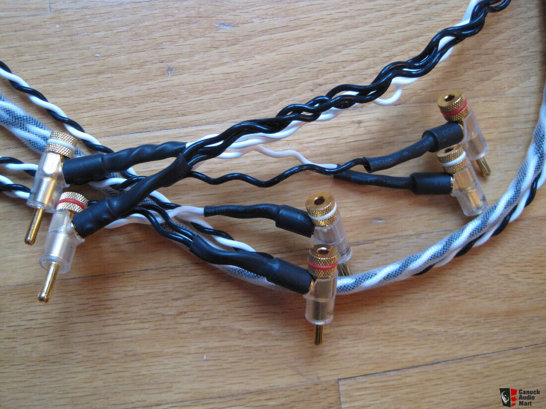 Totem Tress bi-wire speaker cables with banana connectors (sale pending ...