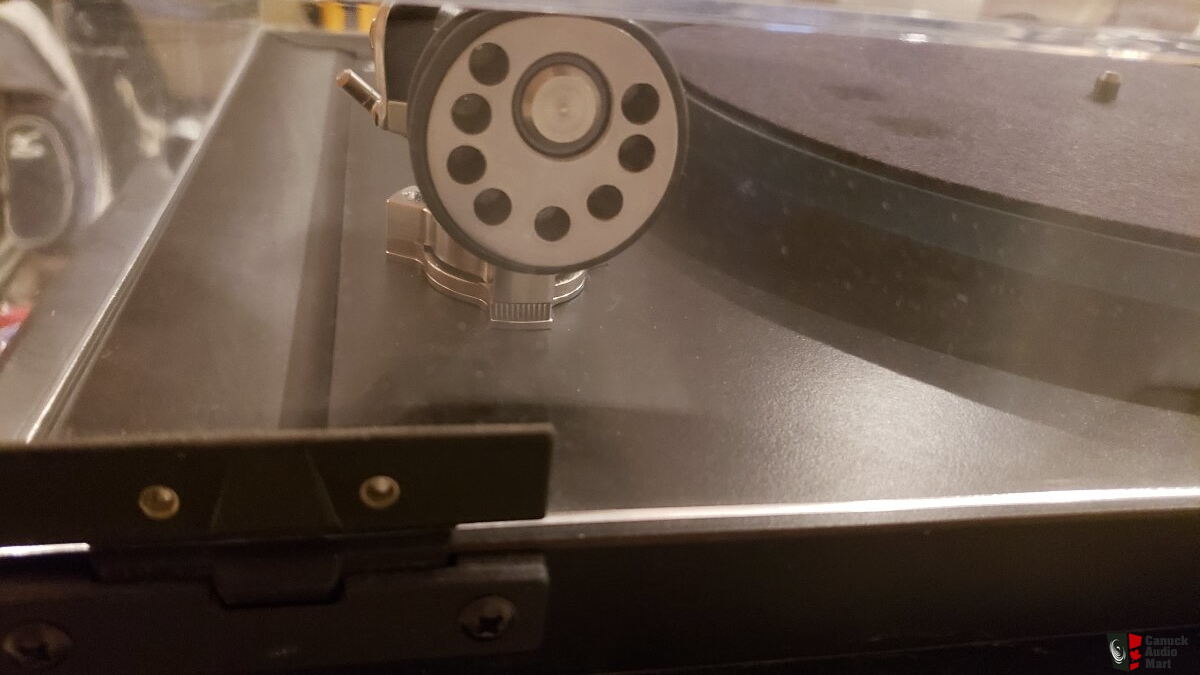 Rega P5 (c/w Upgrades) with TTPSU and Sumiko Blackbird HOMC Cartridge ...