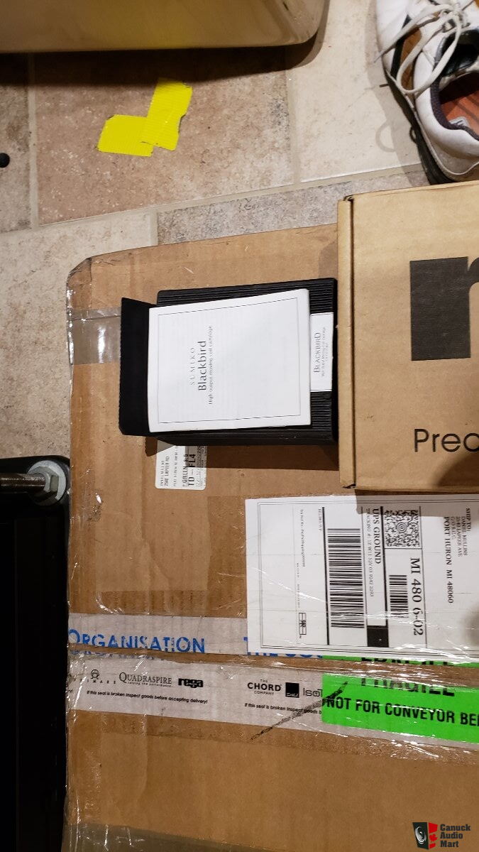 Rega P5 (c/w Upgrades) with TTPSU and Sumiko Blackbird HOMC Cartridge ...
