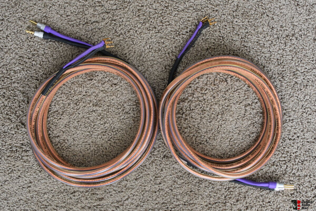 Analysis Plus Speaker Cables Photo #2141044 - Canuck Audio Mart