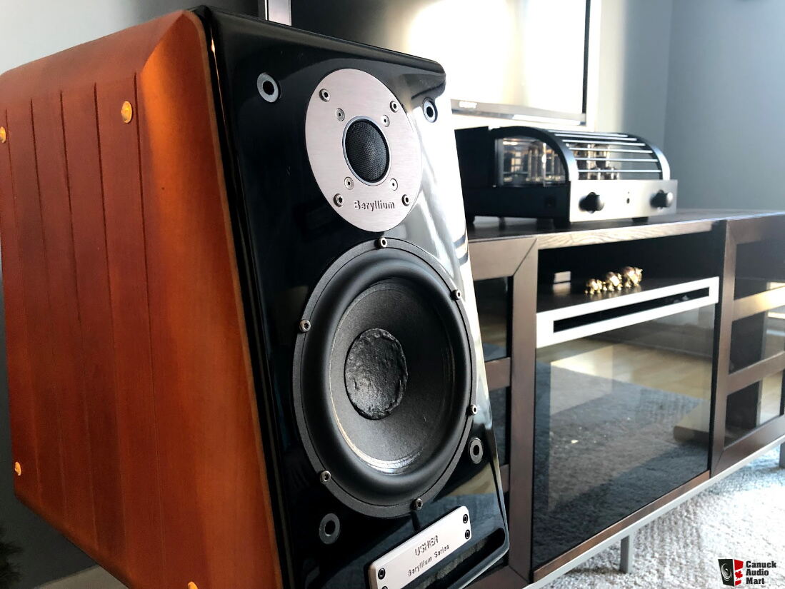 Usher Be-718 Beryllium Series Bookshelf Speakers Photo #2143918 - UK ...