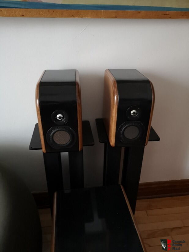 Shelby and Kroll monitors and subwoofer stereo mojo maximum award For ...