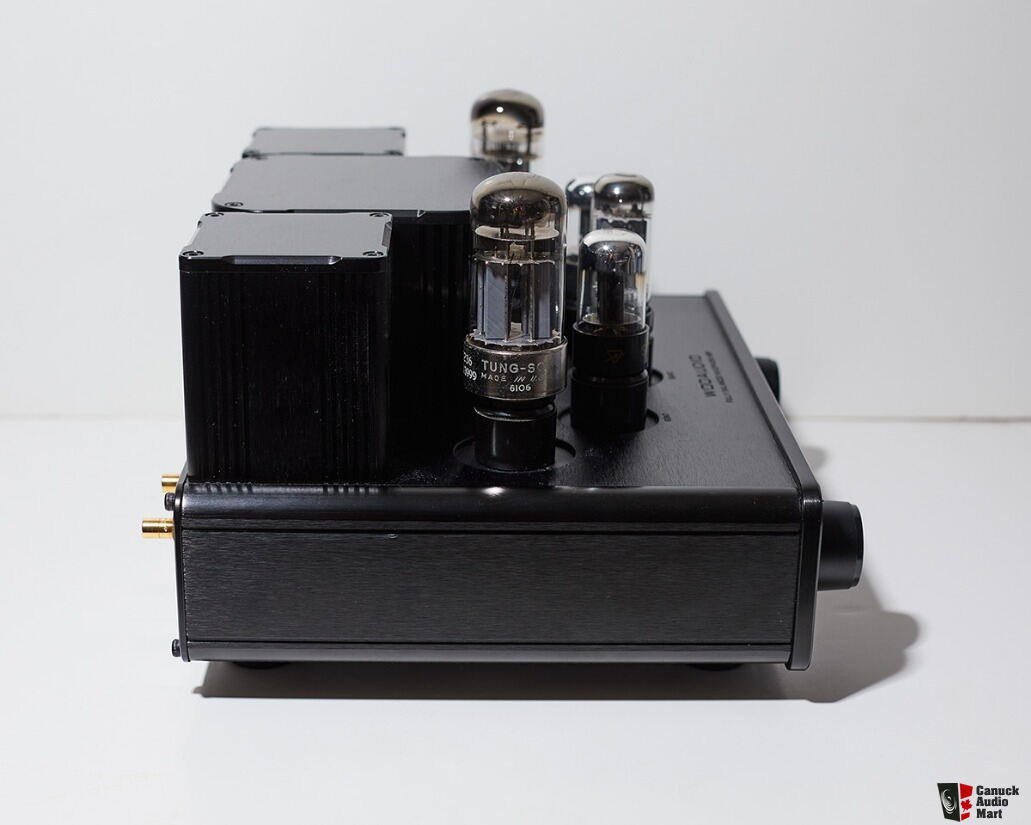 Woo Audio WA22 Balanced Tube Amp w/ upgraded tubes Photo #2165410 - UK ...