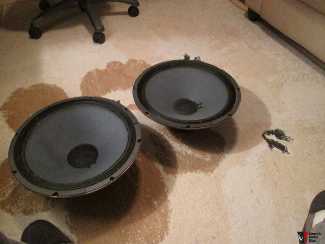CTS 15" Woofers For Sale - Canuck Audio Mart