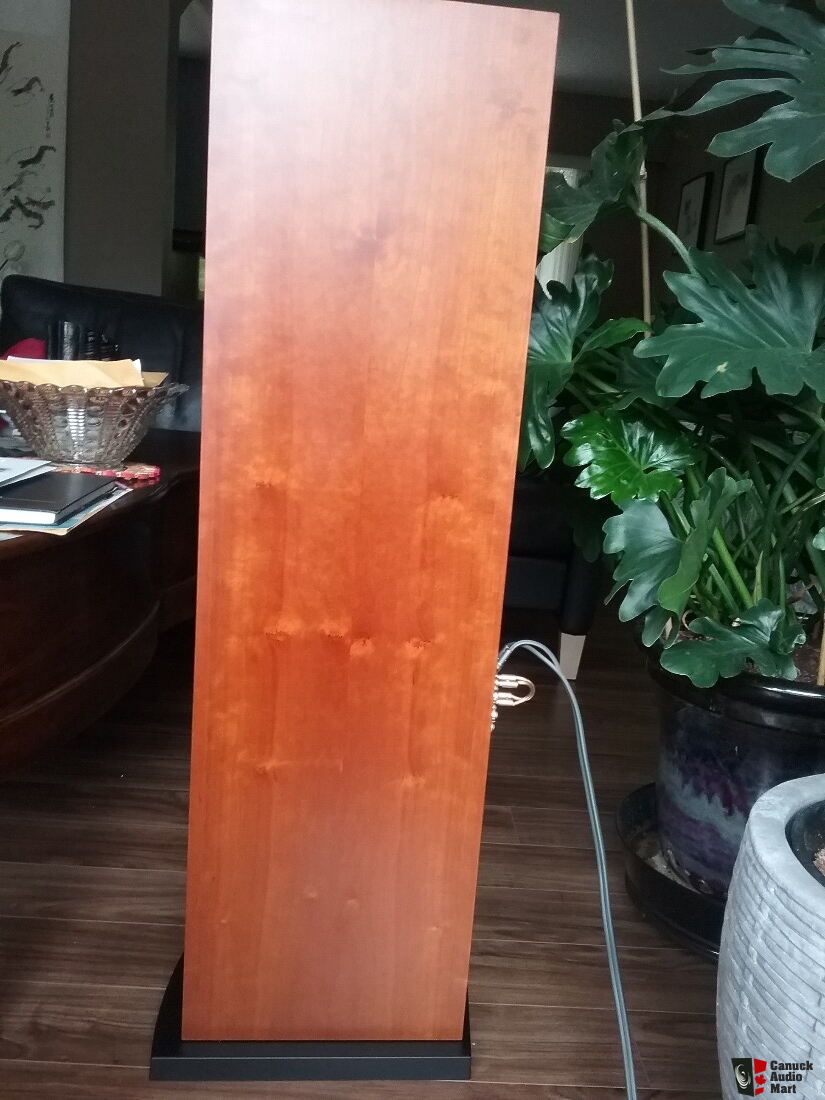 Linn Ninka Speakers Photo #2185583 - Canuck Audio Mart