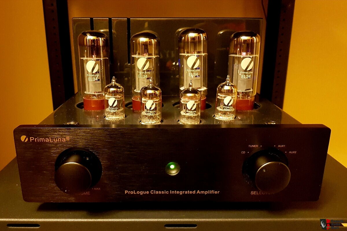 Primaluna Prologue Classic Integrated Amplifier Photo #2198539 - Canuck ...