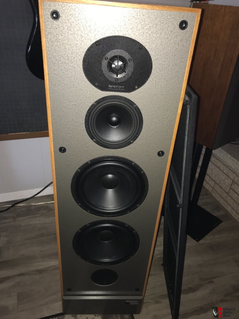 Paradigm Studio Monitor With Boxes Photo #2202015 - US Audio Mart