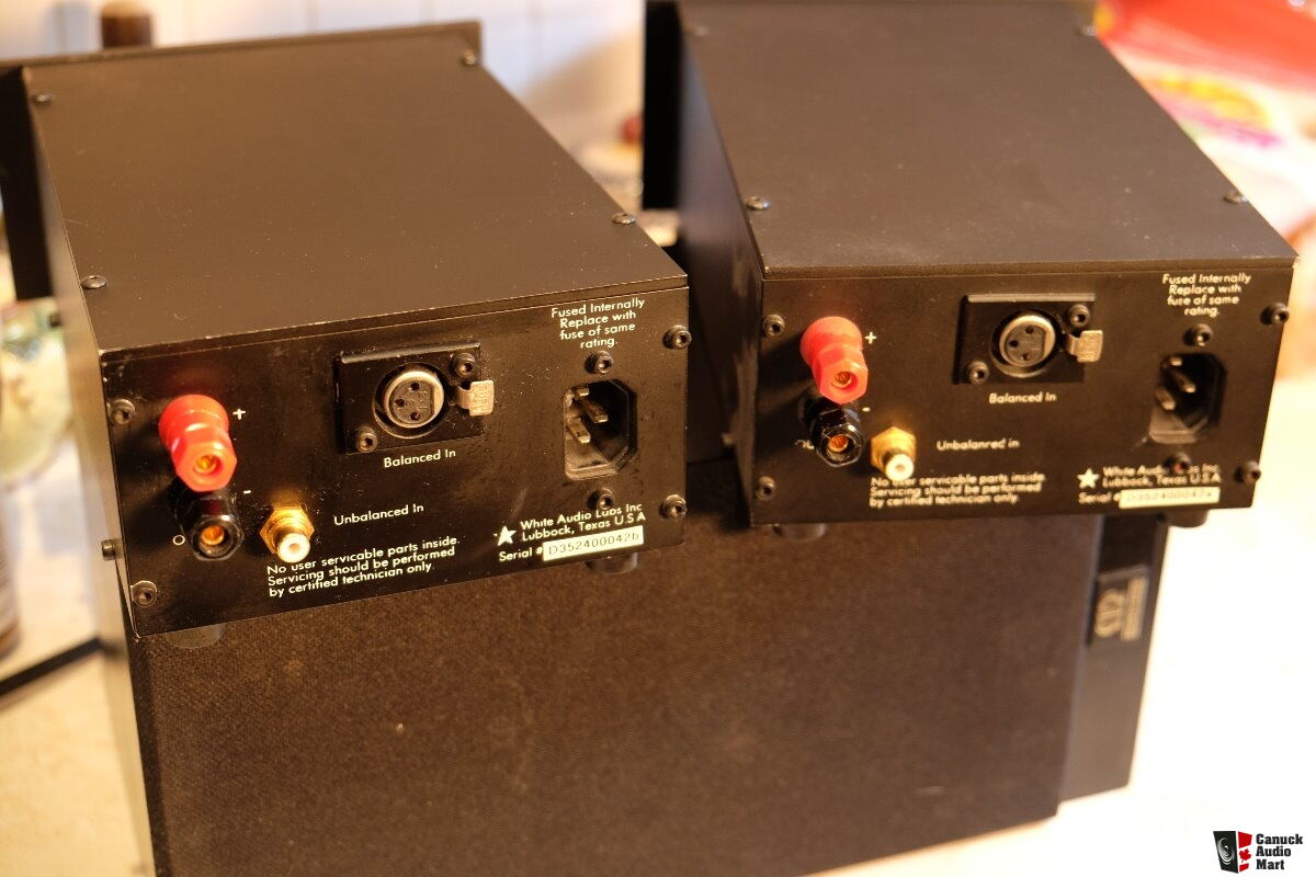 White Audio Labs (Llanos) D35 mono block power amplifiers (2)