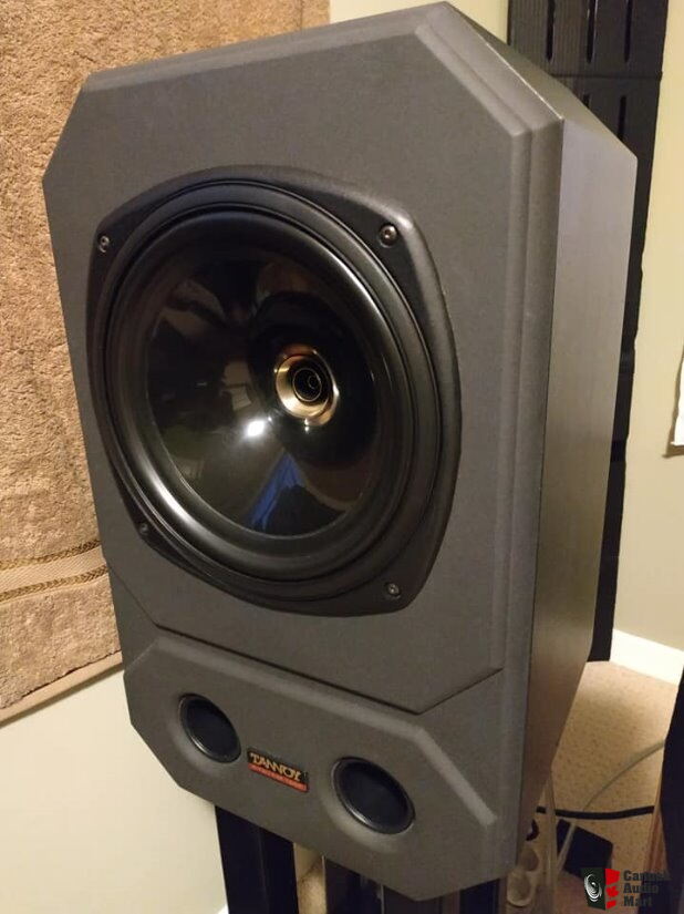 Tannoy System 1000 (10") Professional Studio Monitors with 21'' custom ...