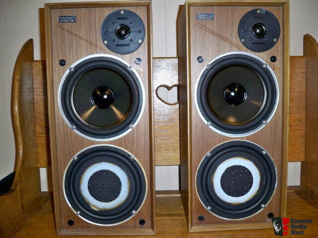 Celestion Ditton 15 XR speakers - FOUND THEM - Photo #221703 - Canuck ...