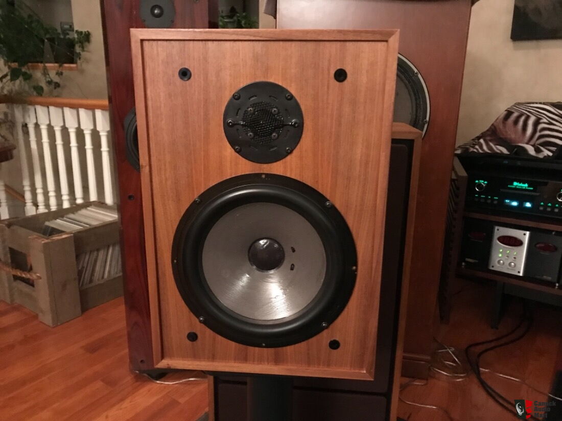 Rare Tangent SPL-5 Speakers in Teak Photo #2222381 - US Audio Mart