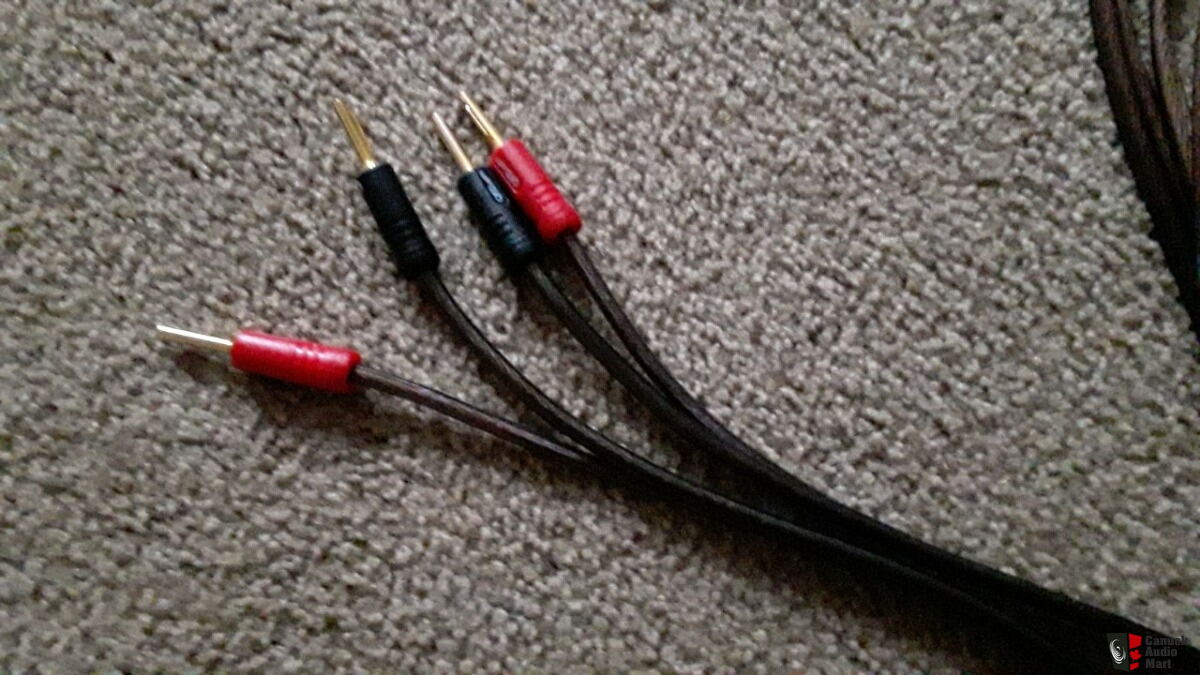 Axiom 12 gauge speaker cable 3M( 9Ft.)a side Photo #2224275 - Canuck ...