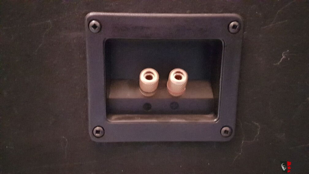 Accusound AS 480L 4 way speakers Photo #2234055 - US Audio Mart