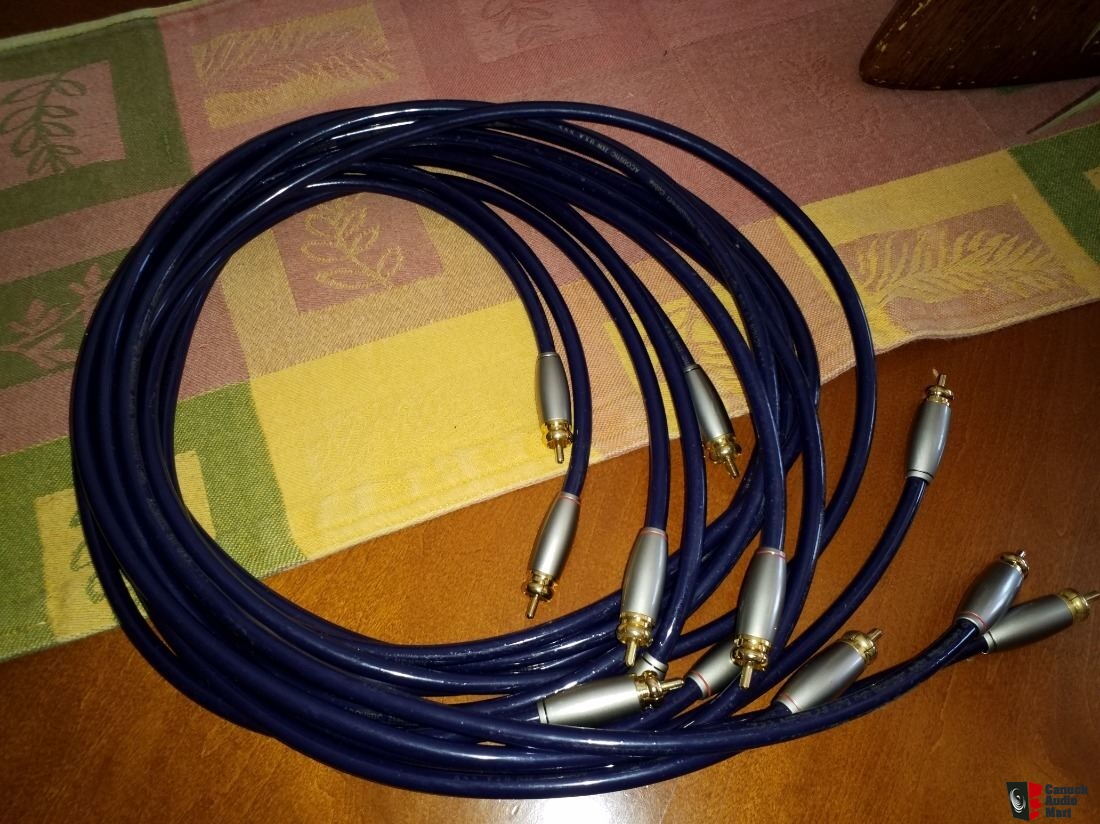 Acoustic Zen Action 2(2M) RCA For Sale - US Audio Mart