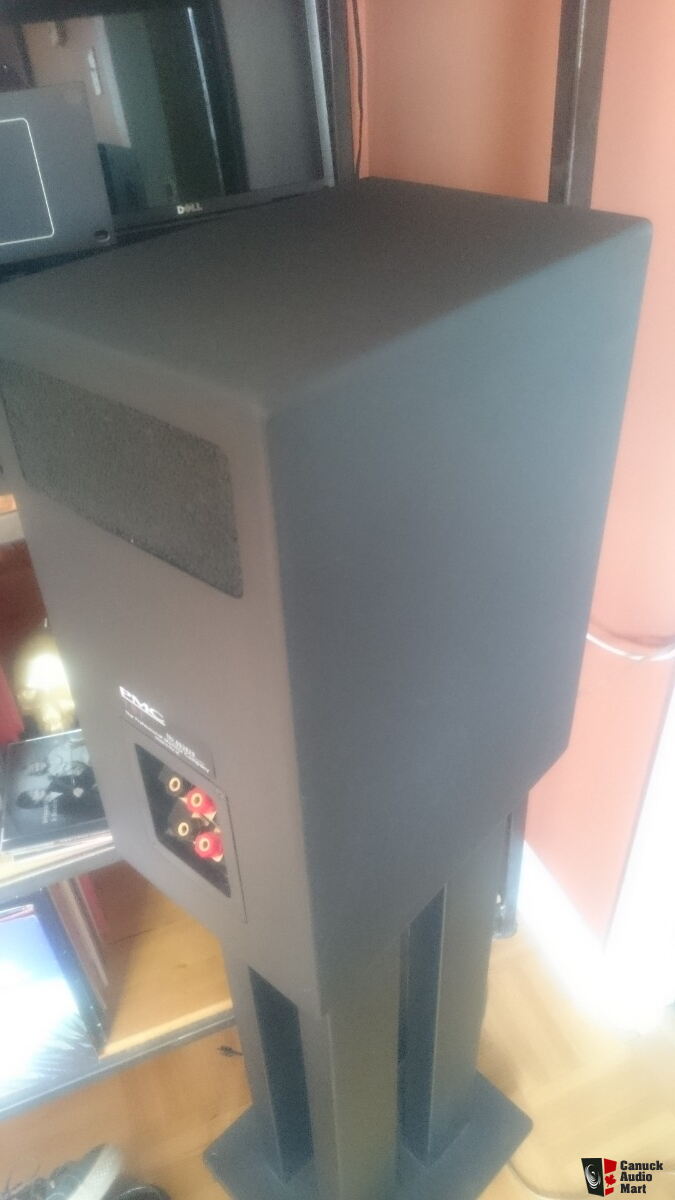 PMC TB1 Studio Neo Black Photo #2257821 - Canuck Audio Mart