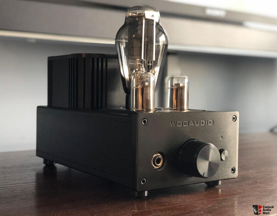 Woo Audio WA6 headphone amp + Sophia Princess Photo #2264580 - UK Audio ...