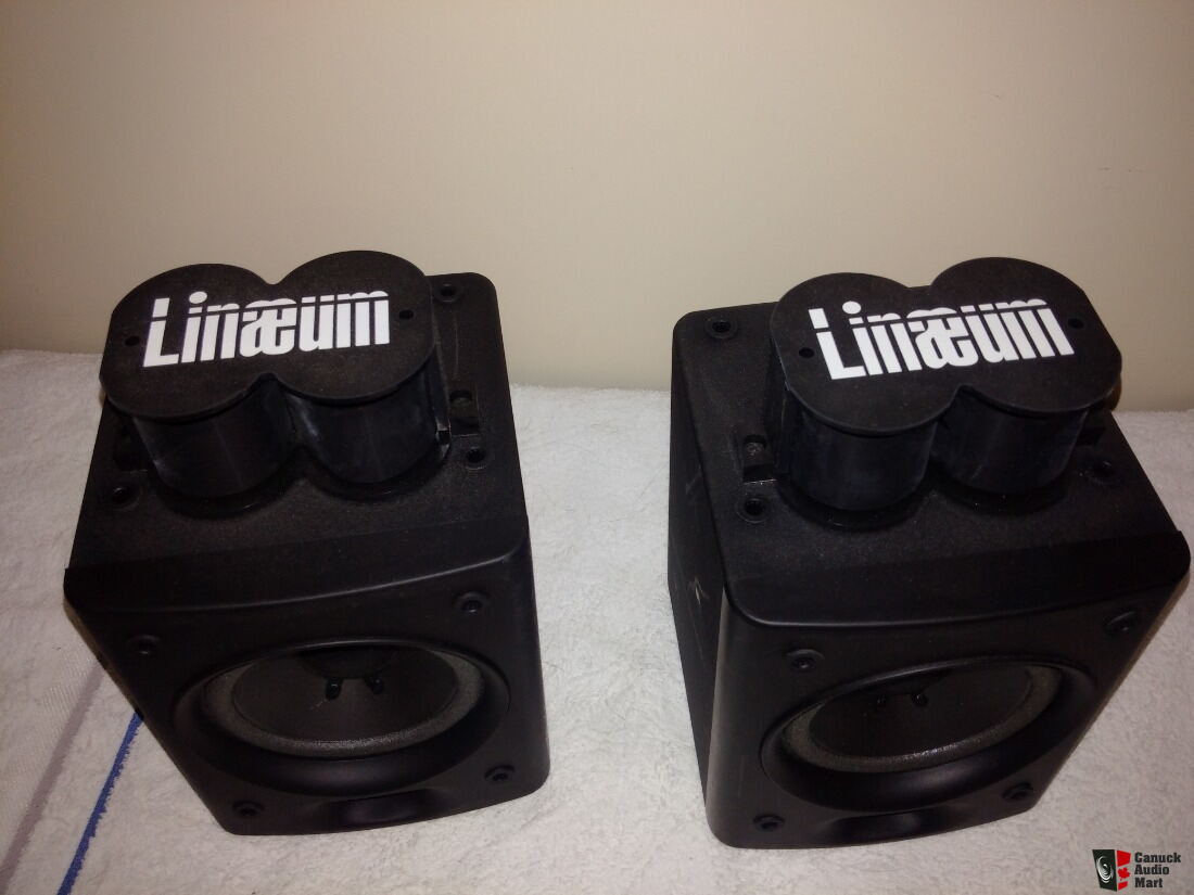 Linaeum Bookshelf Speakers / Shipped to Western Half of Canada Photo ...
