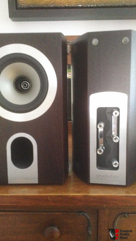 Tannoy REVOLUTION SIGNATURE DC4 (espresso) Photo #2286546 - US Audio Mart