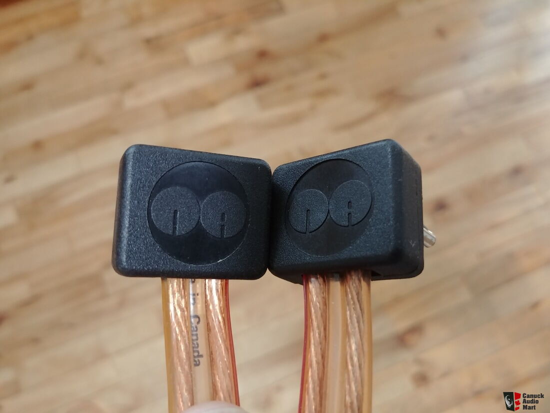 NAIM Speaker Plugs + cable Photo #2289991 - Canuck Audio Mart