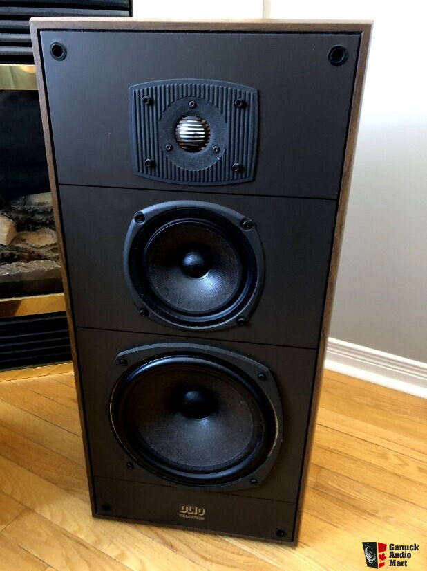 Celestion DL-10 3-way Floor Standing Speakers in Excellent Condition ...