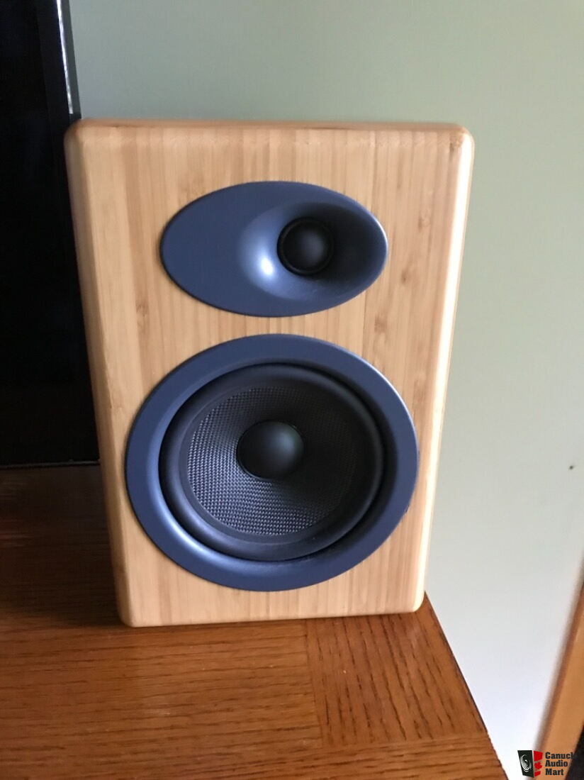 Audioengine A5+ Speakers Photo #2300626 - Canuck Audio Mart