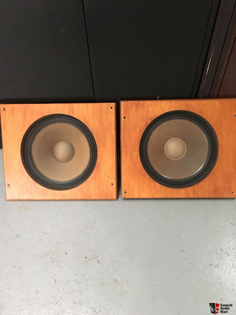 DIY Visaton BGS 40 15 inch speakers Photo #2308138 - US Audio Mart