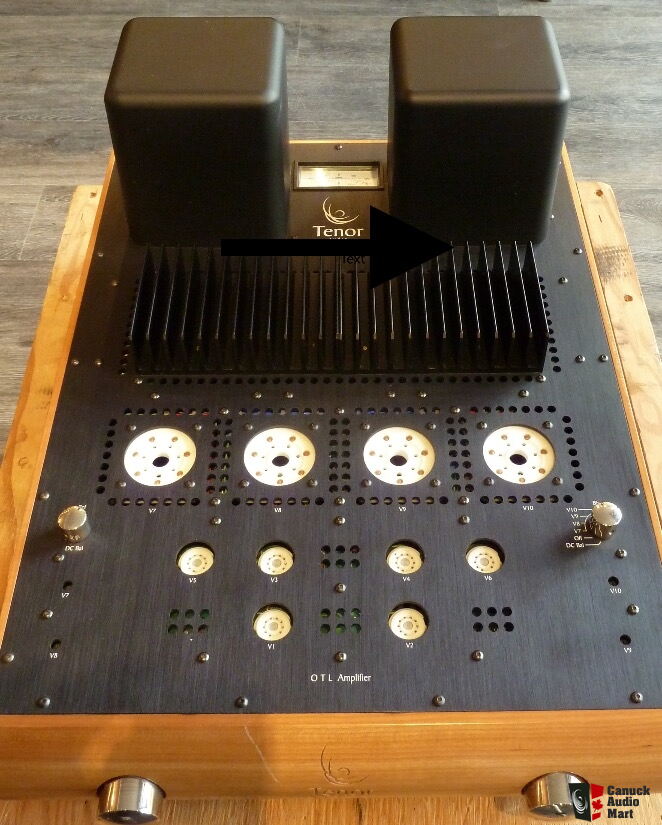 Tenor Audio OTL75 Monoblock Amplifier Pair. Sold As is Photo #2317356 ...