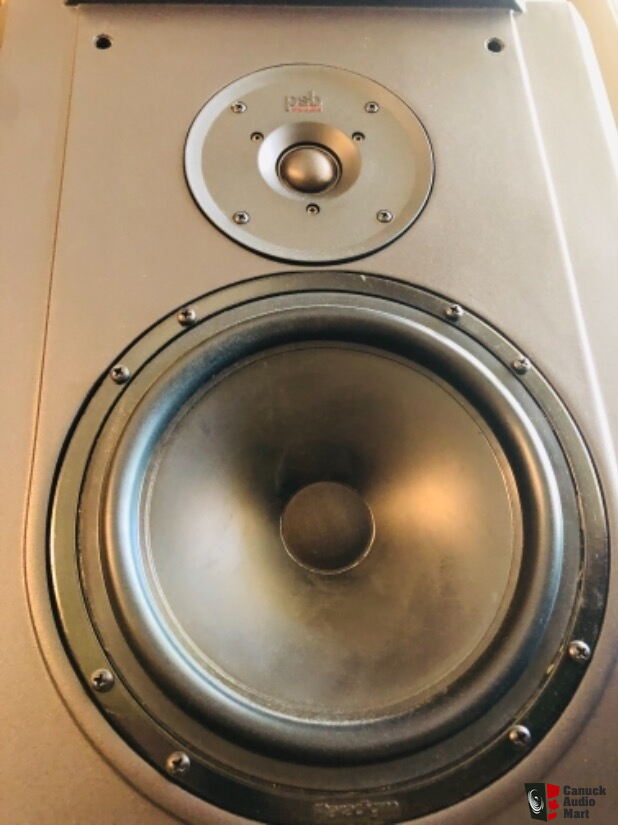 PSP Floor Standing Speakers Photo #2324015 - US Audio Mart