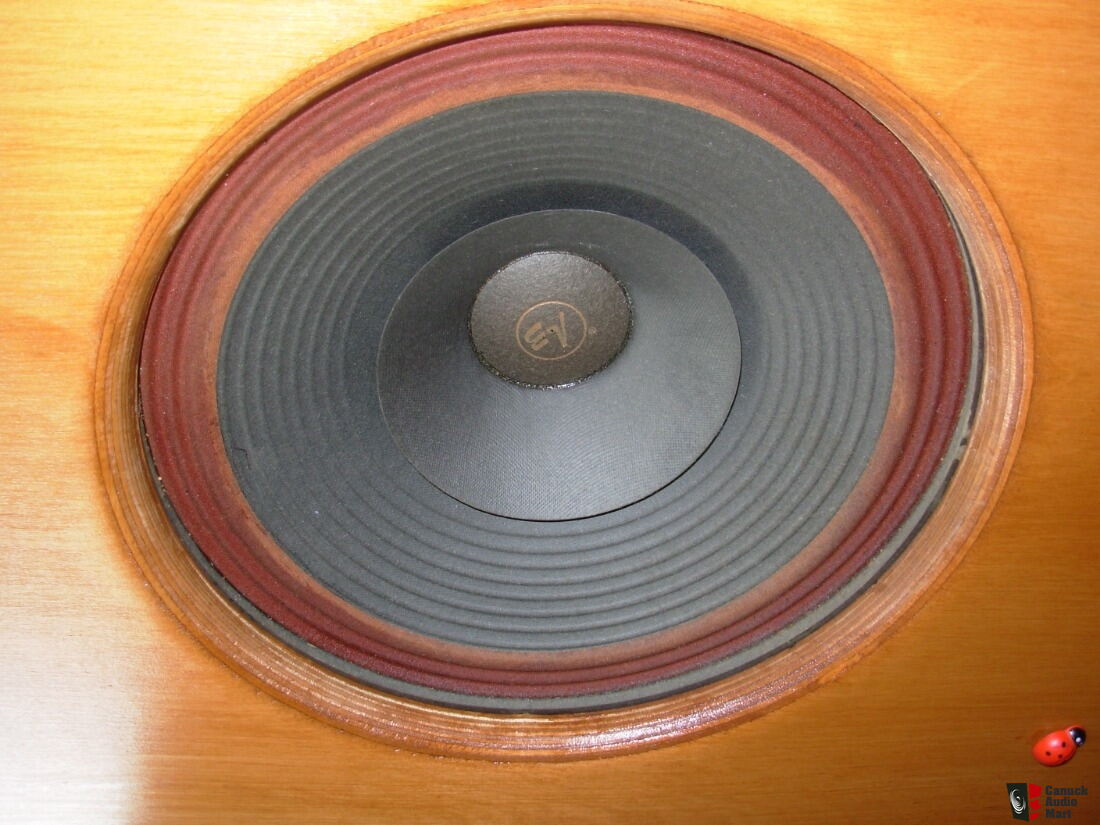 Open baffle speakers OBs Electrovoice SP12B with REL woofers and 'air ...