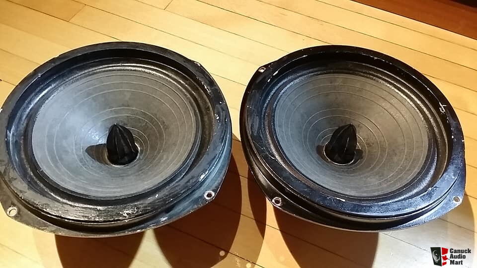 Coral Beta 8A full range speakers Photo #2339613 - Canuck Audio Mart