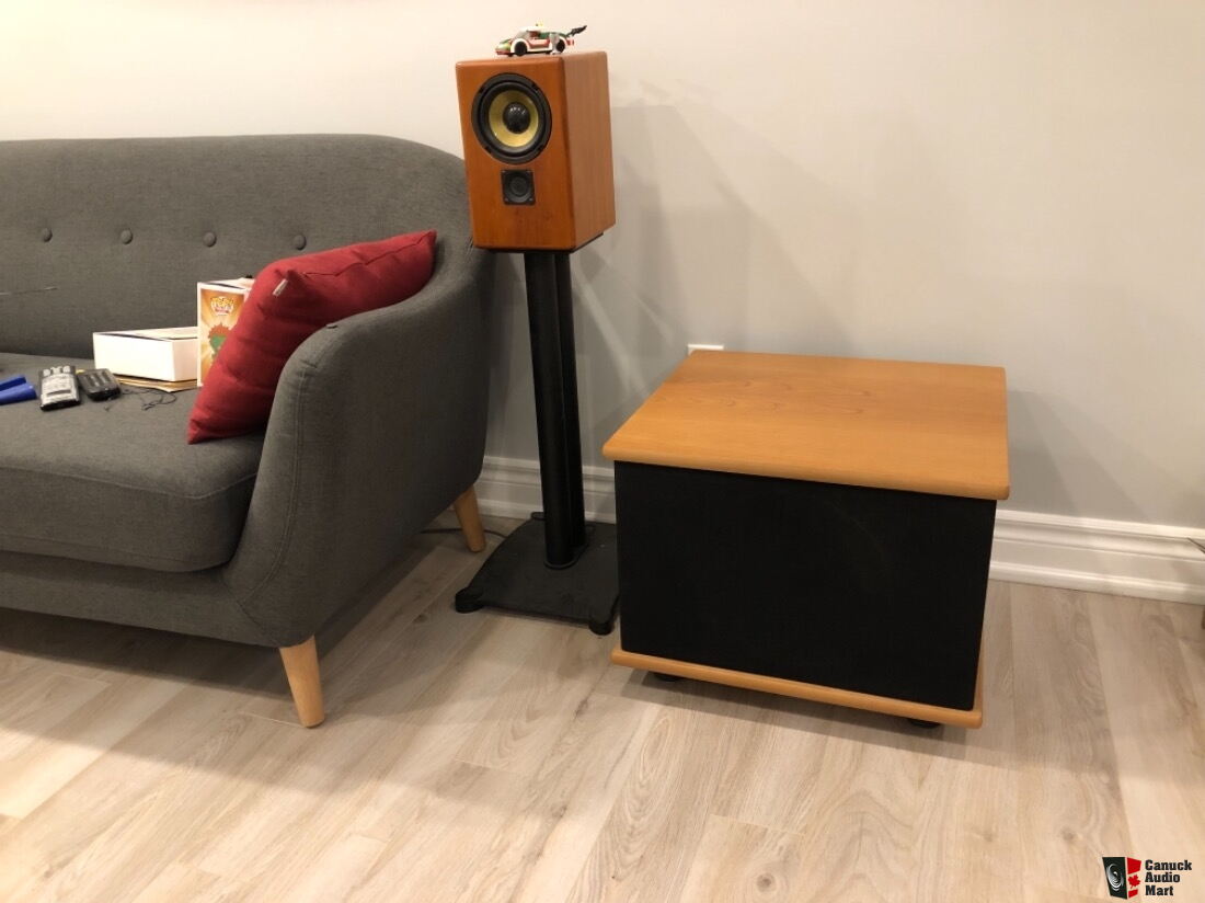 Angstrom Forza Subwoofer Photo #2339973 - UK Audio Mart
