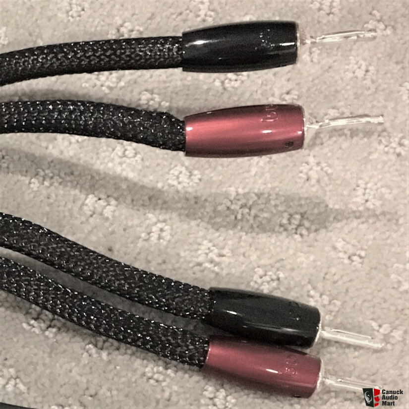 Audioquest K2 Speaker Cables 2.5m or 8.2 feet Photo #2347064 - Canuck ...