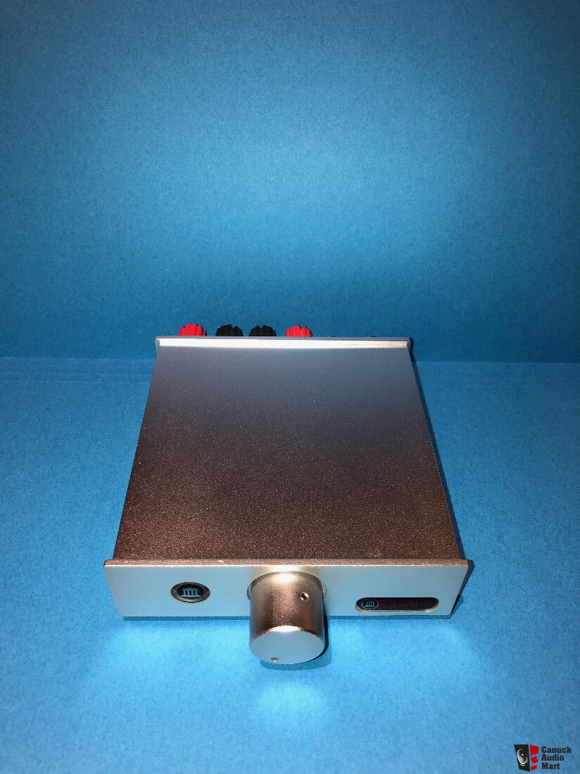 Temple Audio Bantam Gold Integrated Digital Amplifier Photo #2350926 ...