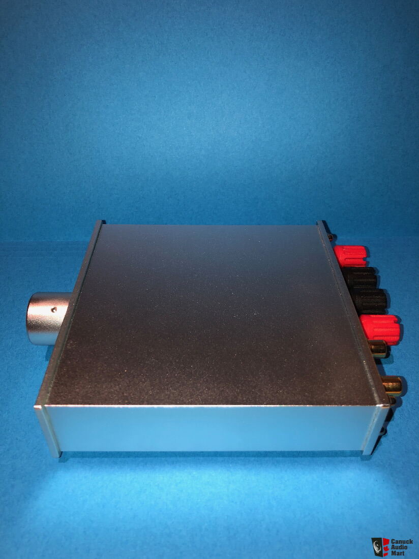 Temple Audio Bantam Gold Integrated Digital Amplifier Photo #2350926 ...