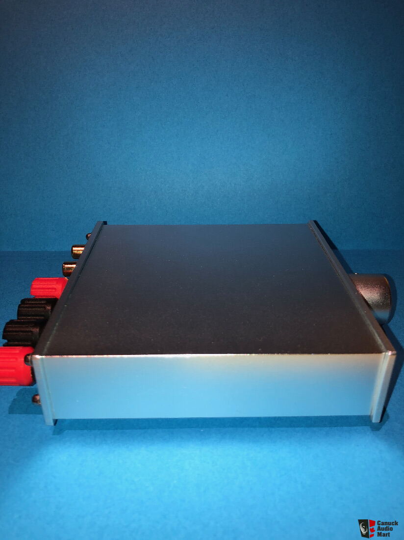 Temple Audio Bantam Gold Integrated Digital Amplifier Photo #2350929 ...