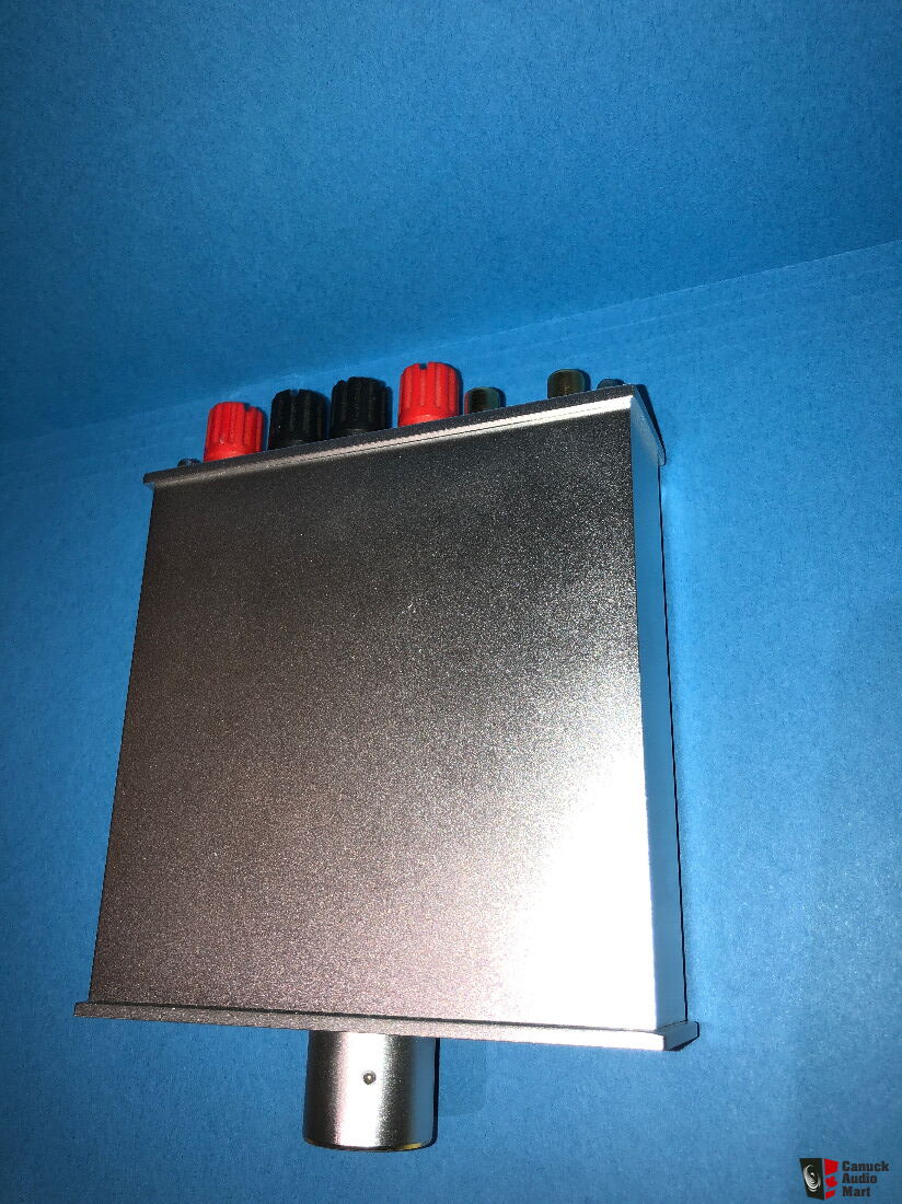 Temple Audio Bantam Gold Integrated Digital Amplifier Photo #2350929 ...