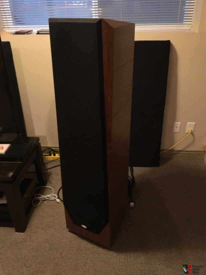 Legacy Focus SE Photo #2356131 - Canuck Audio Mart