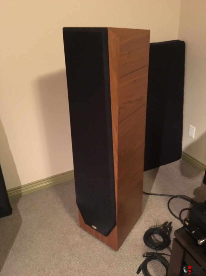 Legacy Focus SE Photo #2356131 - Canuck Audio Mart