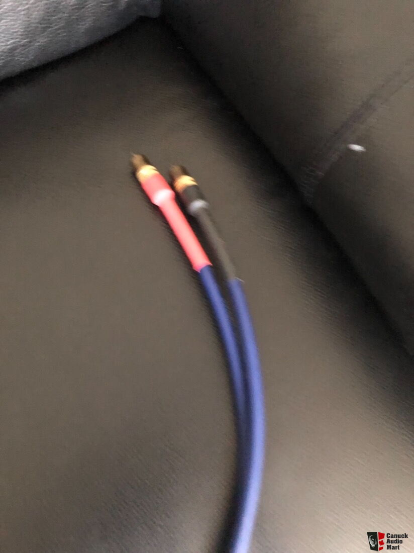 Bob device rca cables For Sale - US Audio Mart
