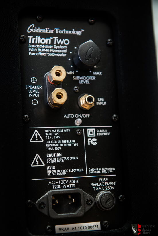 GoldenEar Technology Triton Two loudspeaker Photo #2410749 - UK Audio Mart