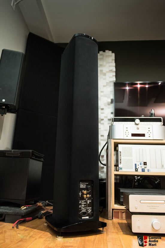 GoldenEar Technology Triton Two loudspeaker Photo #2410750 - UK Audio Mart