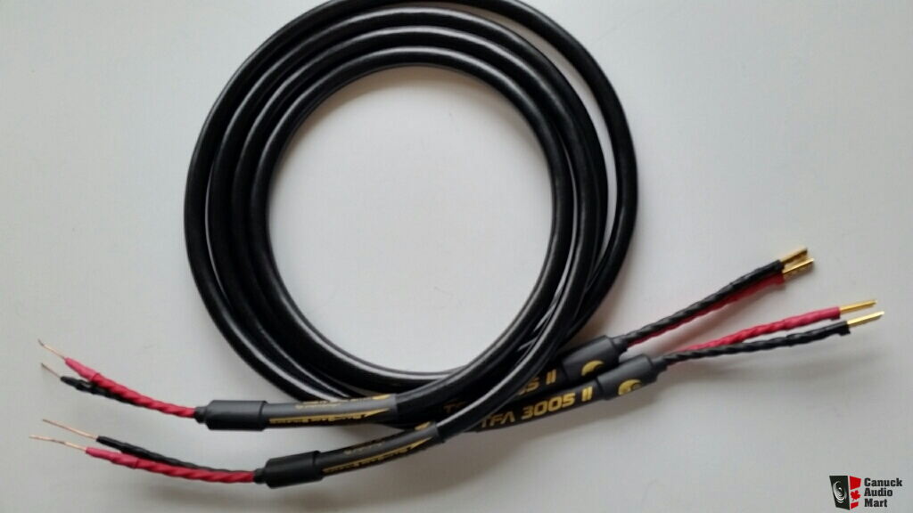 Custom Neotech NES-3005 MK II Deep Cryo Treated Speaker Cables 6 feet ...