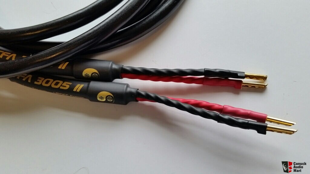 Custom Neotech NES-3005 MK II Deep Cryo Treated Speaker Cables 6 feet ...